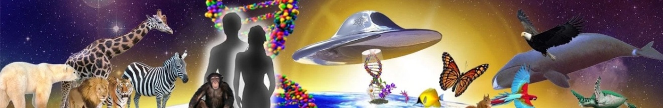 Des illustrations pour Rael.org - Raël France